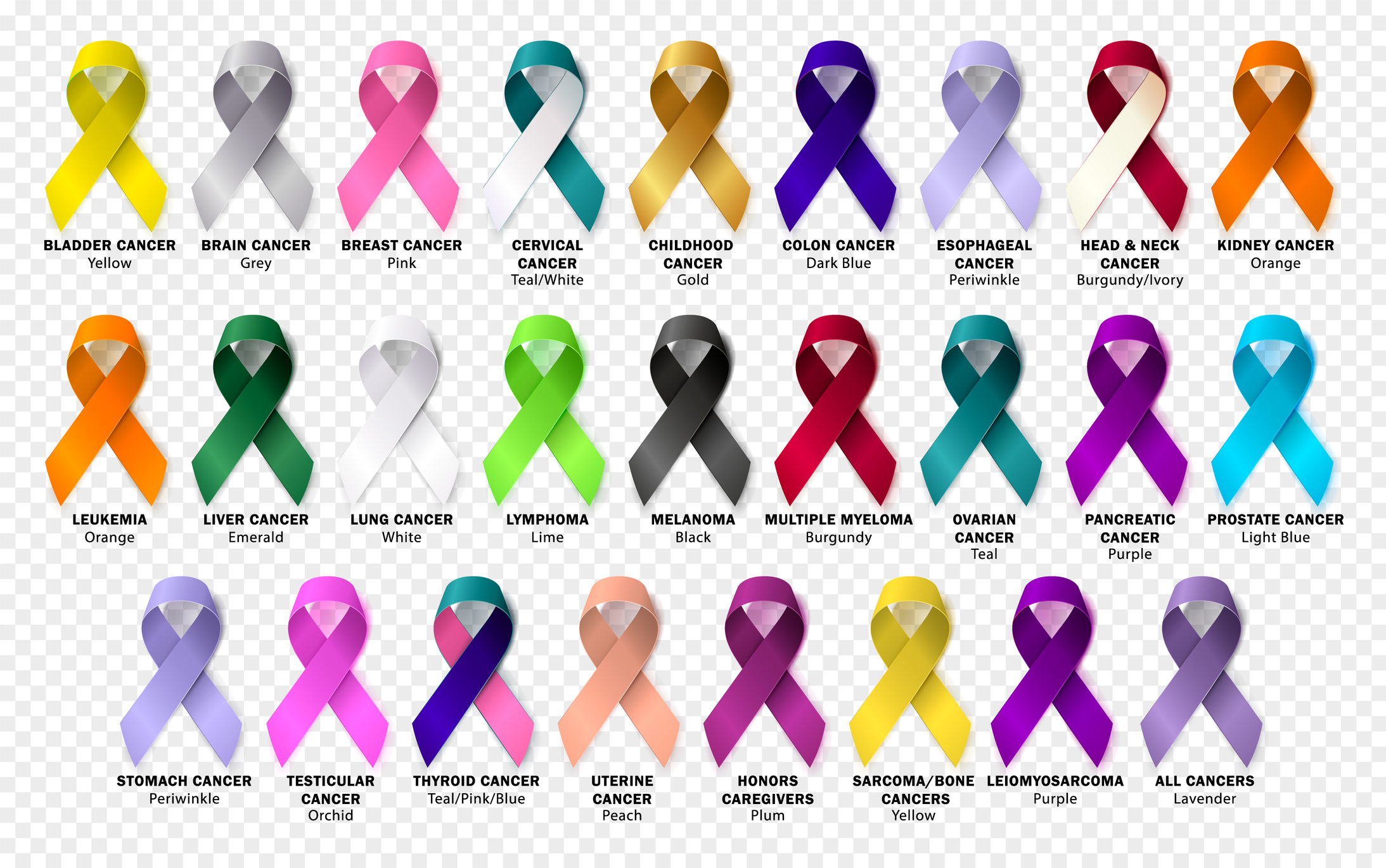 Set ribbon all cancers. Cancer awareness ribbons. Vector - Modern ...
